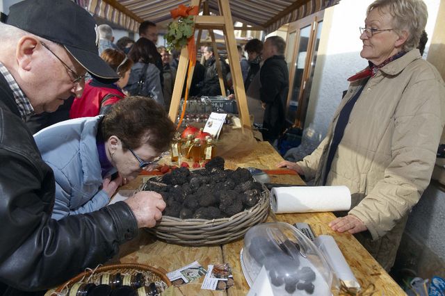Philippe Ligron parlera truffes à Bonvillars | 24 heures