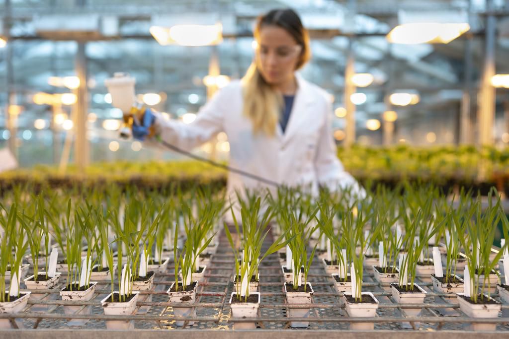Jahreszahlen: Syngenta Group steigert Umsatz und Betriebsgewinn | Finanz und Wirtschaft