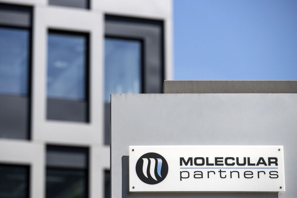 Molecular zeigt erste Daten zum Blutkrebsmittel – Einschätzung zum ...