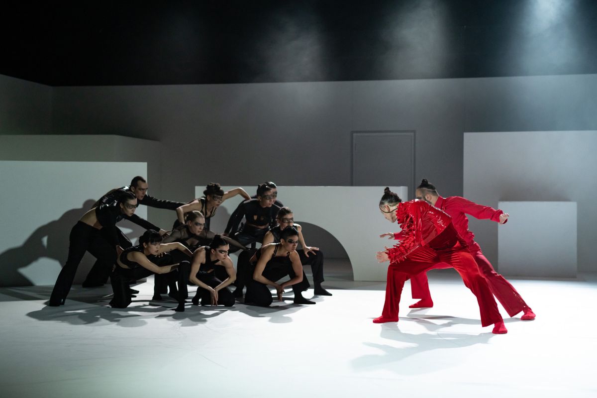 Bühnen Bern präsentiert Programm der Spielzeit 2024/2025 | Der Bund