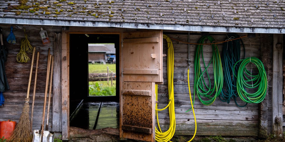 Unfall in Belp: Kind bei Stallarbeiten tödlich verunglückt | Der Bund