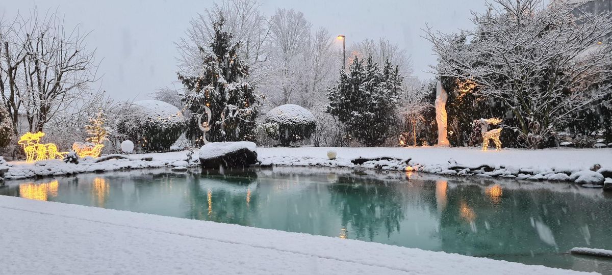 Schnee in der Region Basel – Die schönsten Bilder zum Winterstart ...