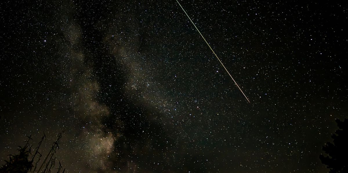 Rattybot xxx found an image of her and she looked just like