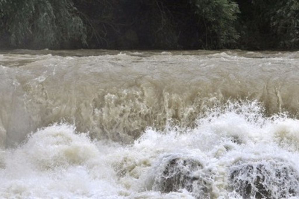 Les poissons sont de retour dans la Birse | 24 heures