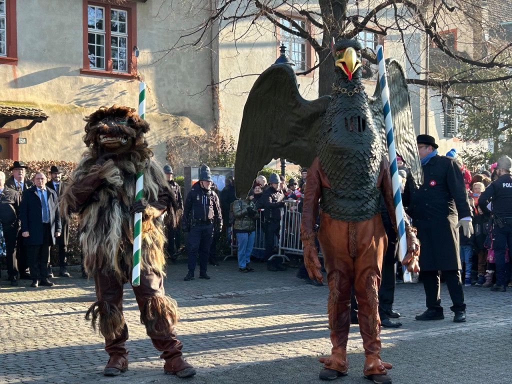 Ticker zum Vogel Gryff: Ein Blick hinter die Kulissen | So geht es ...