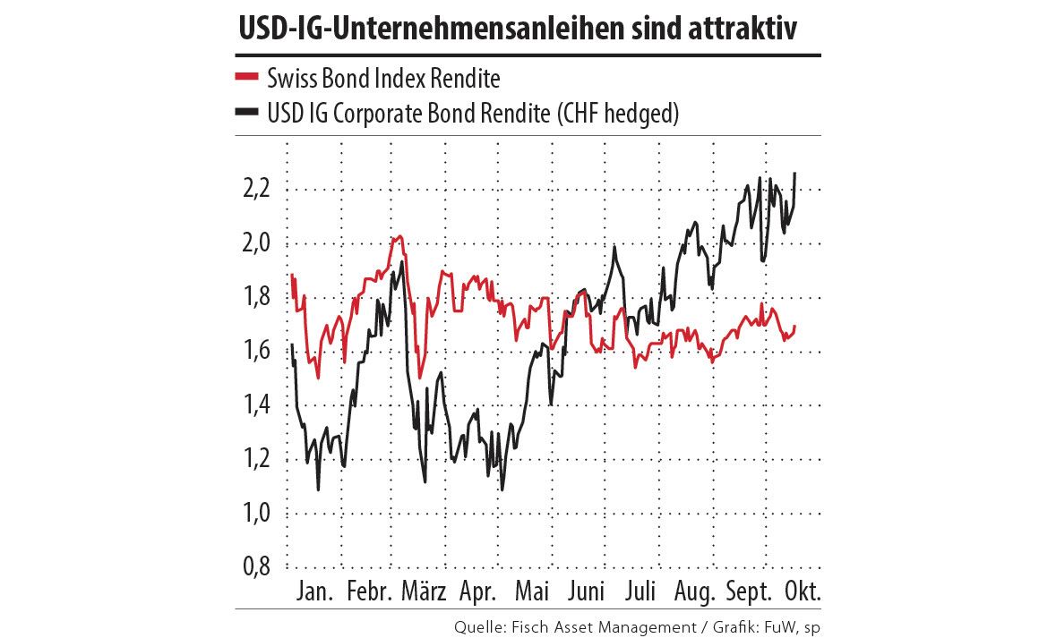 Investment Grade: Stabiler Portfolio-Anker im rauen Zinsmeer | Finanz ...