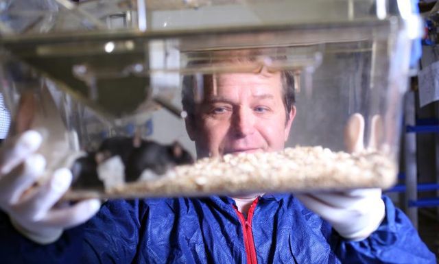 Neues ETH-Gebäude: 40'000 Labormäuse erhalten eigenen Stock | Tages ...