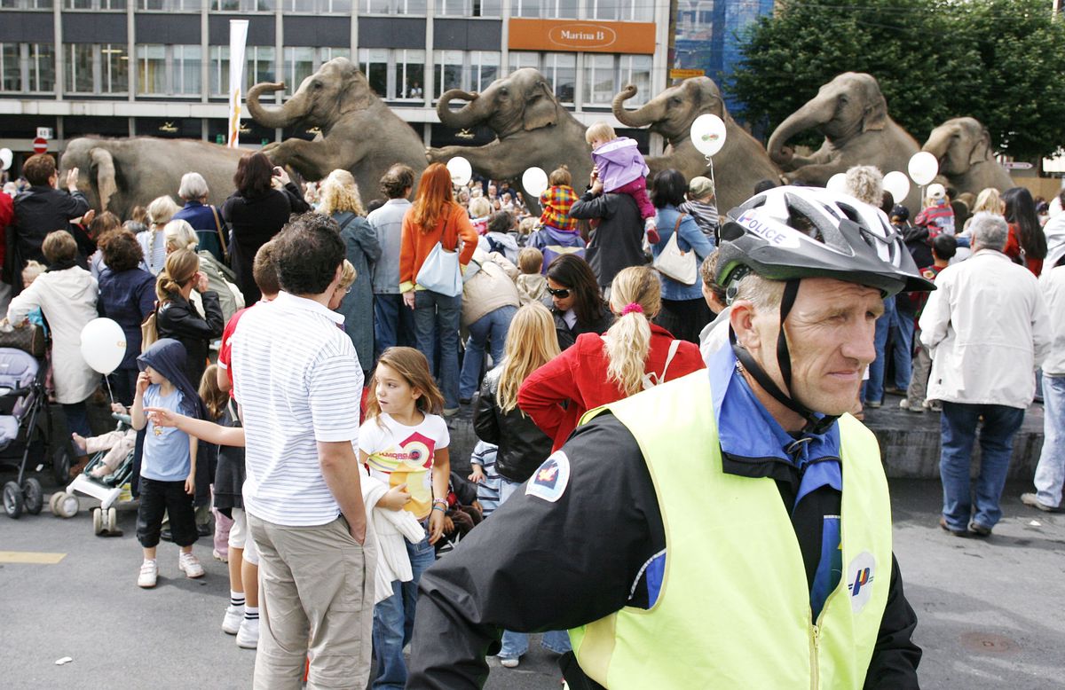 Genève insolite: lâcher d'éléphants sur la place du Rhône | Tribune de ...