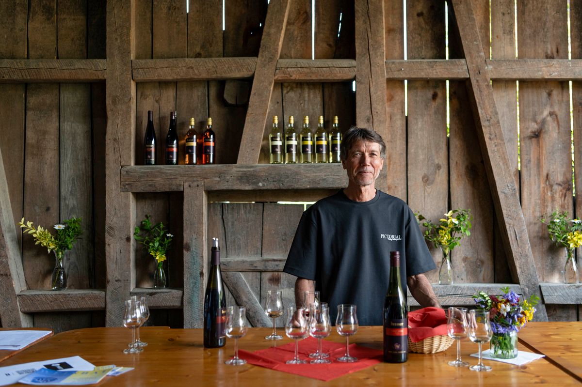 So gut sind die Weine im Zürcher Unterland | Tages-Anzeiger