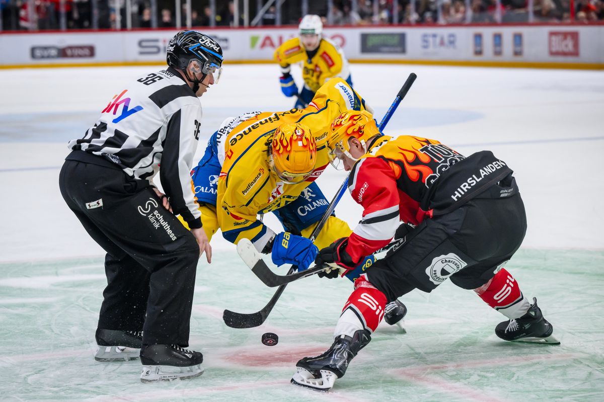 Une femme attaquée par un requin dans le port de Sydney | 24 heures