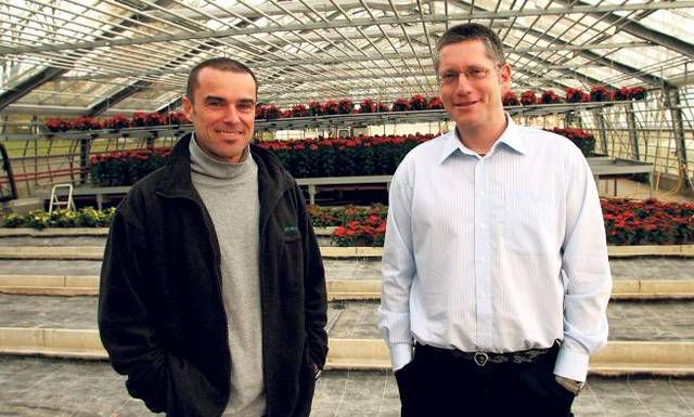 Die Tage der Burghof-Gärtnerei sind gezählt | Tages-Anzeiger