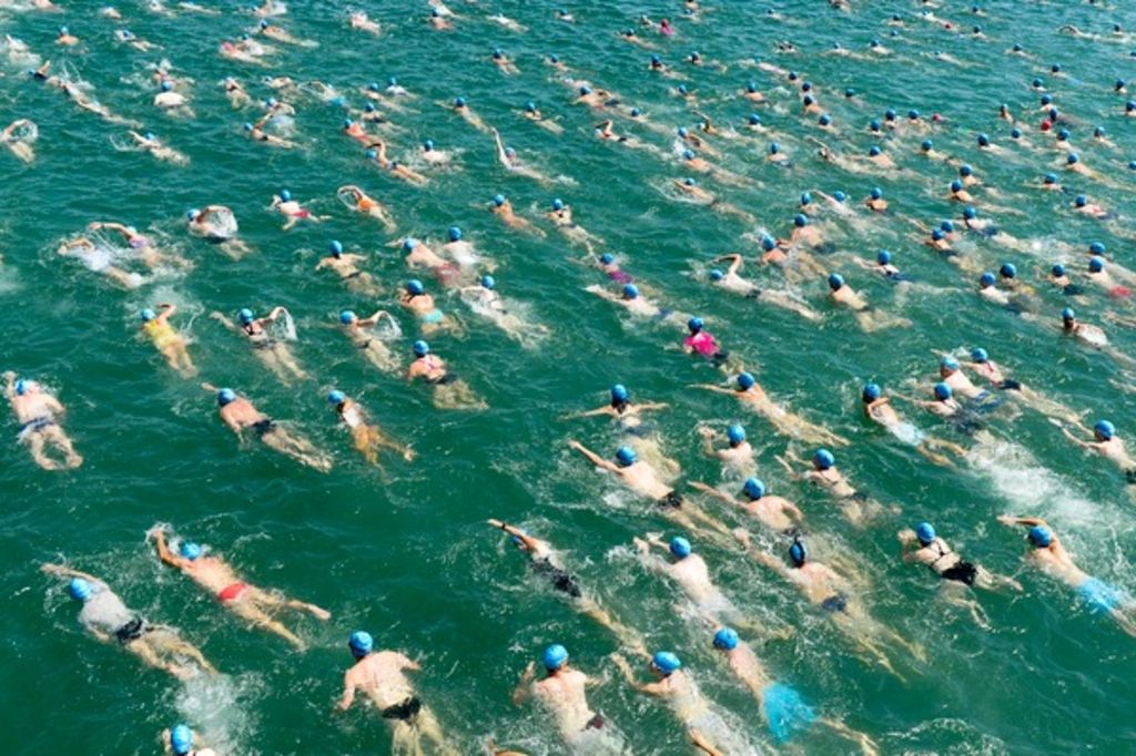 La traversée du lac à la nage réussit sa première édition | Tribune de ...