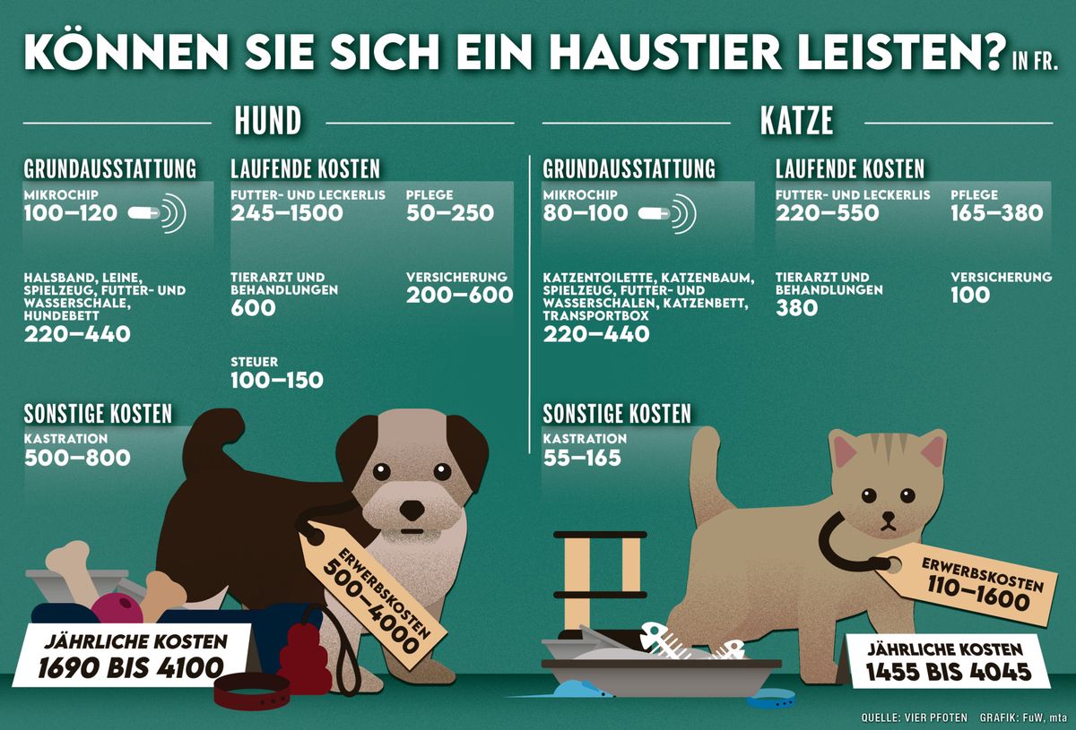 Haustierkosten: So viel kosten Hund und Katze in der Schweiz | Finanz ...