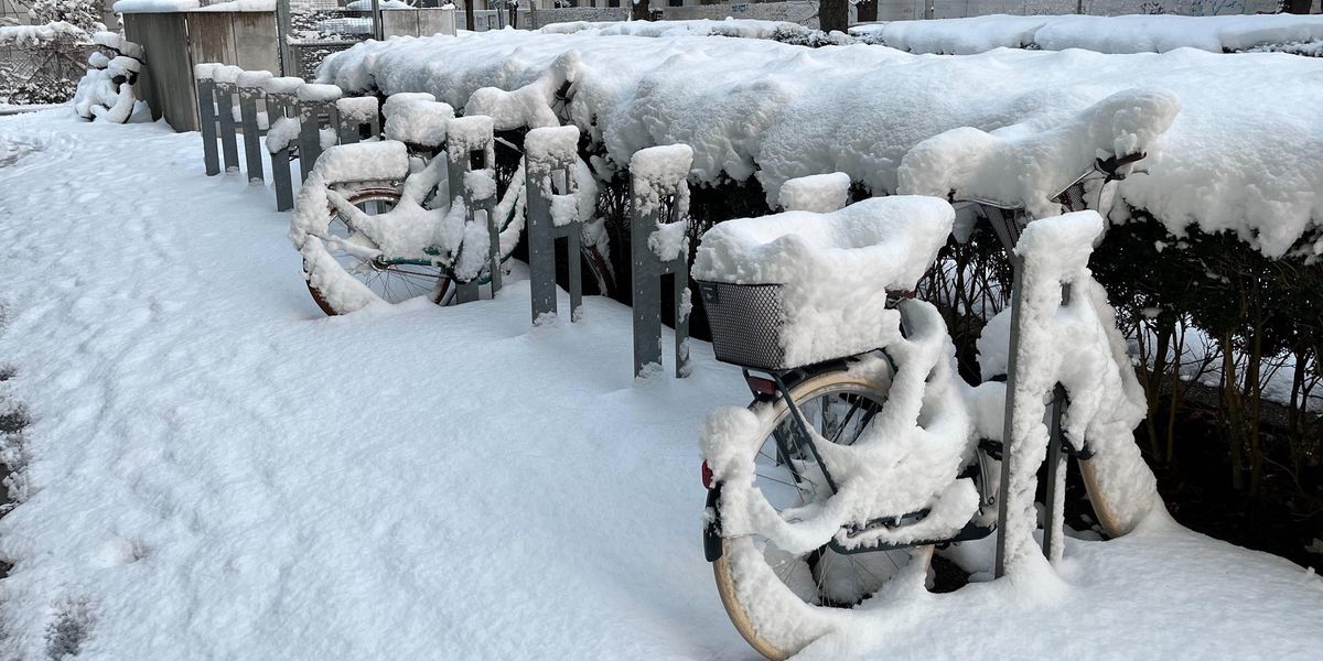 Schneefall Schweiz: Der erste Schnee ist rekordverdächtig | Tages-Anzeiger
