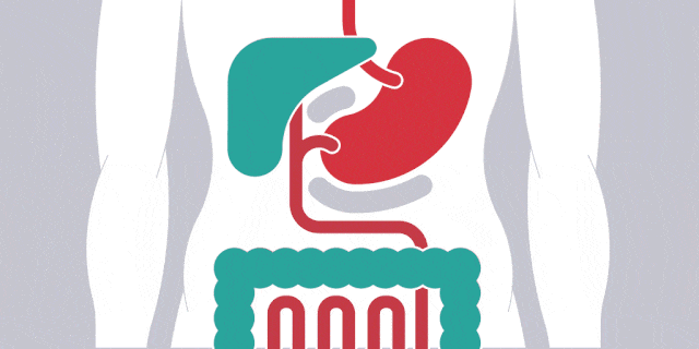 Explications en graphiques: Voici comment l'alcool agit dans le corps