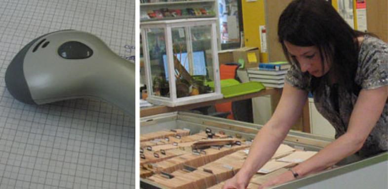 Changement à la bibliothèque – Une page se tourne à Differdange - L ...