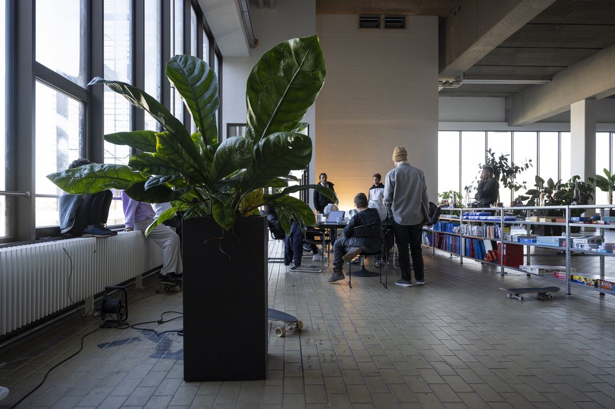 Alternative Schulen: Wie freies Lernen geht | Der Bund