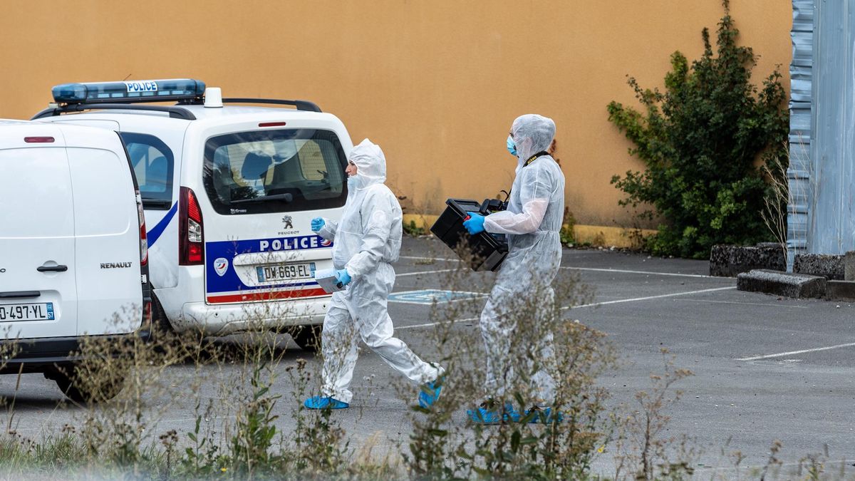 Cadavre démembré en France : Des restes du corps d’une femme retrouvés ...