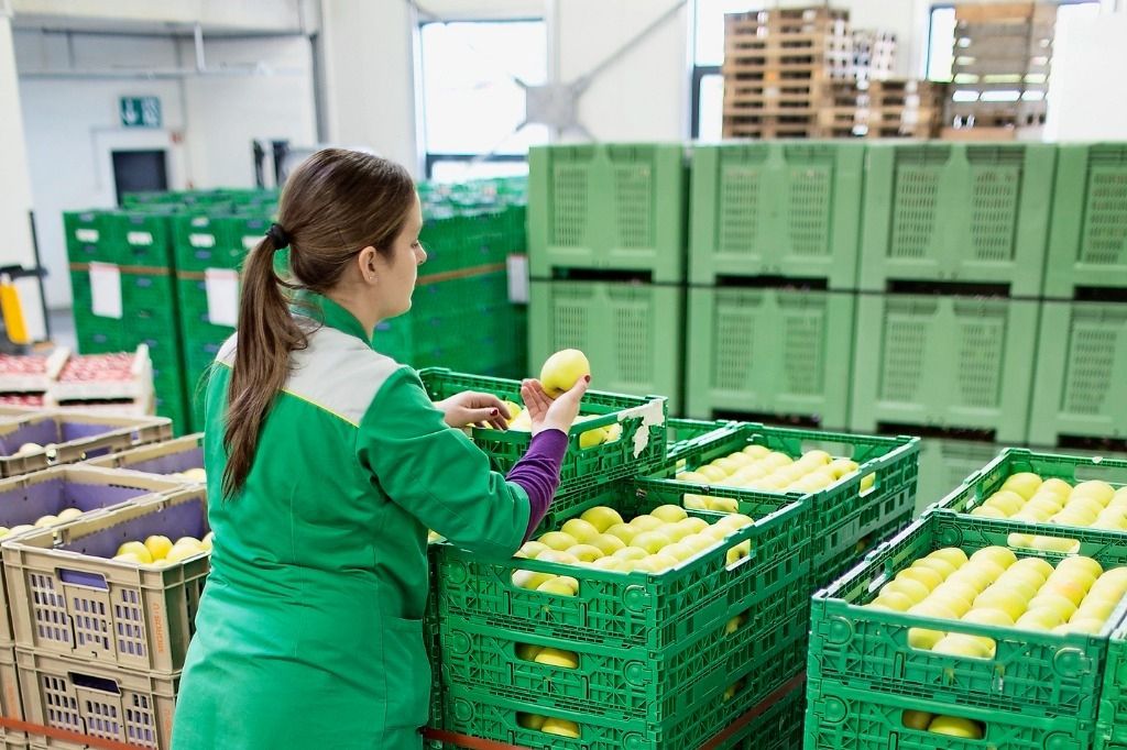 Fenaco verzeichnet Rekordjahr | Berner Zeitung