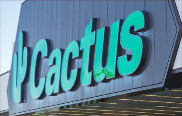 Luxemburg – Cactus-Supermärkte öffnen diese Woche wieder - L'essentiel