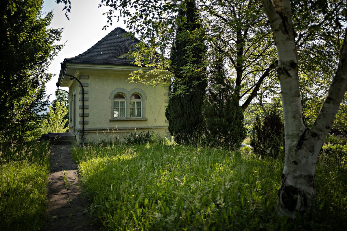 Freiraum in der Stadt: Zürichs vergessener Park im Kreis 3 | Tages-Anzeiger