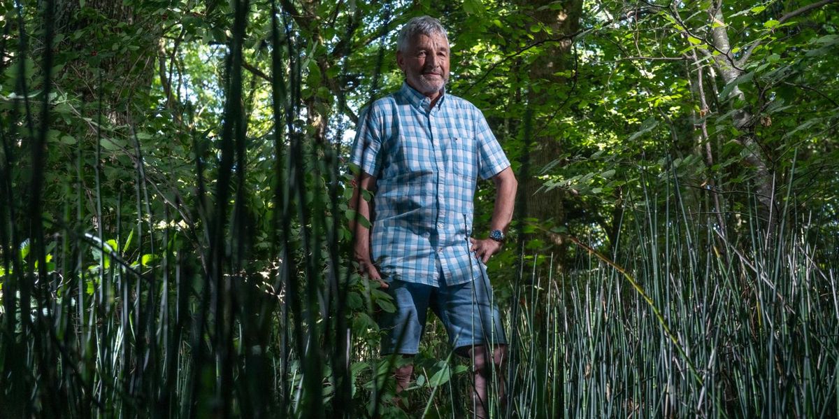 Paléo Festival: Der umstrittene Paléo-Patron Daniel Rossellat | Berner ...