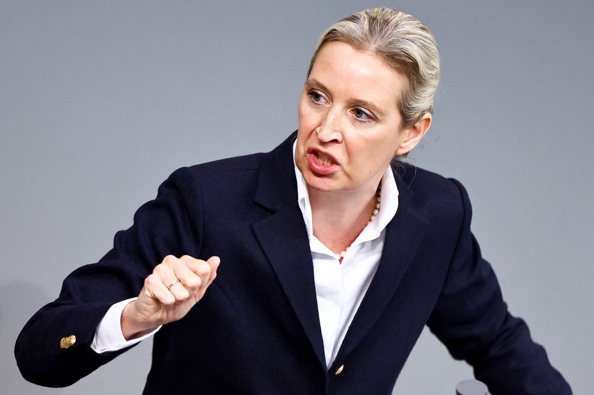 AfD-Chefin Weidel beklagt «Verleumdungskampagne» | Basler Zeitung