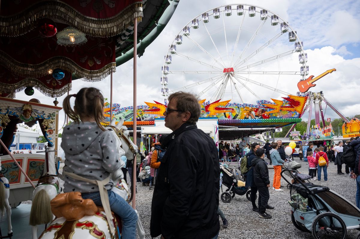 Bildstrecke BEA 2024: Das sind die schönsten Bilder | Berner Zeitung