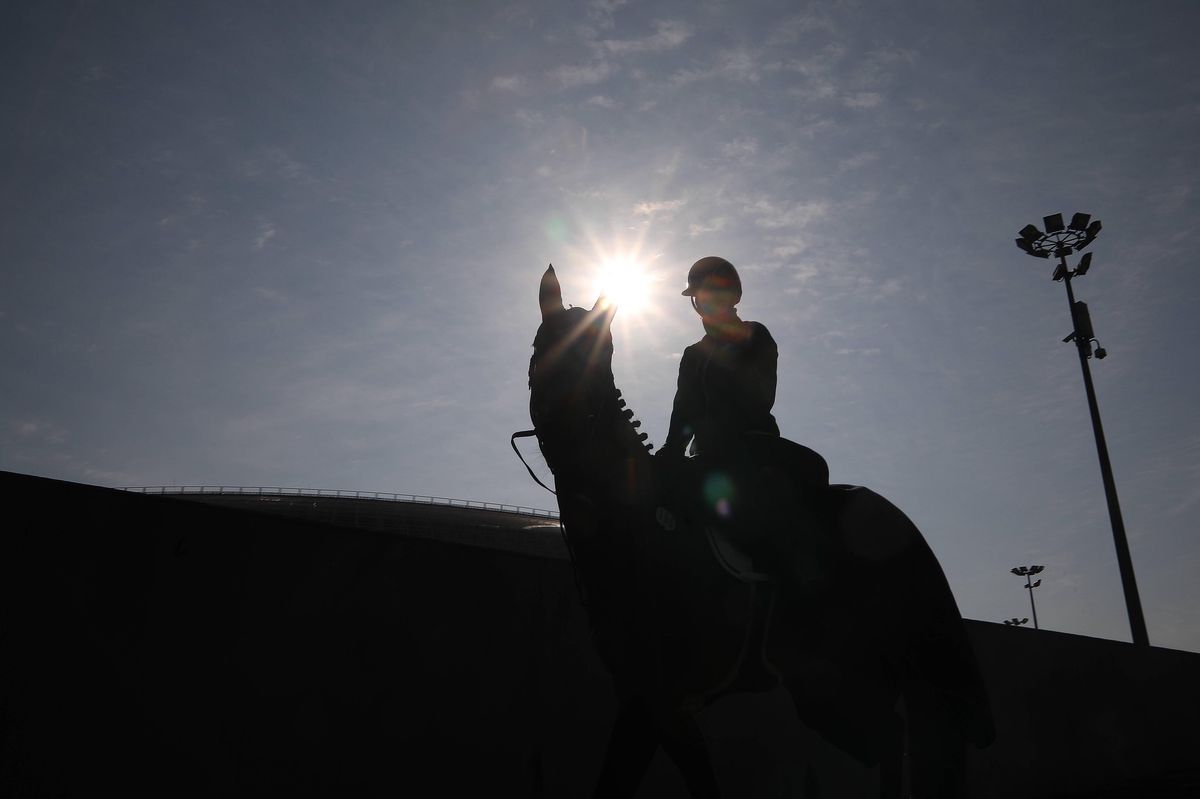 Trainingsunfall: Deutsche Springreiterin Madlen Boy ist tot | Der Bund
