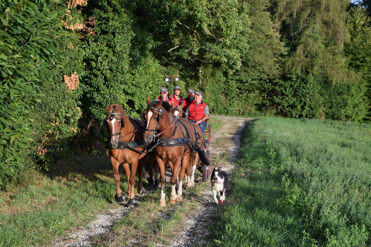 De Boulogne-sur-Mer à Paris: Leurs Franches-Montagnes vont parcourir ...