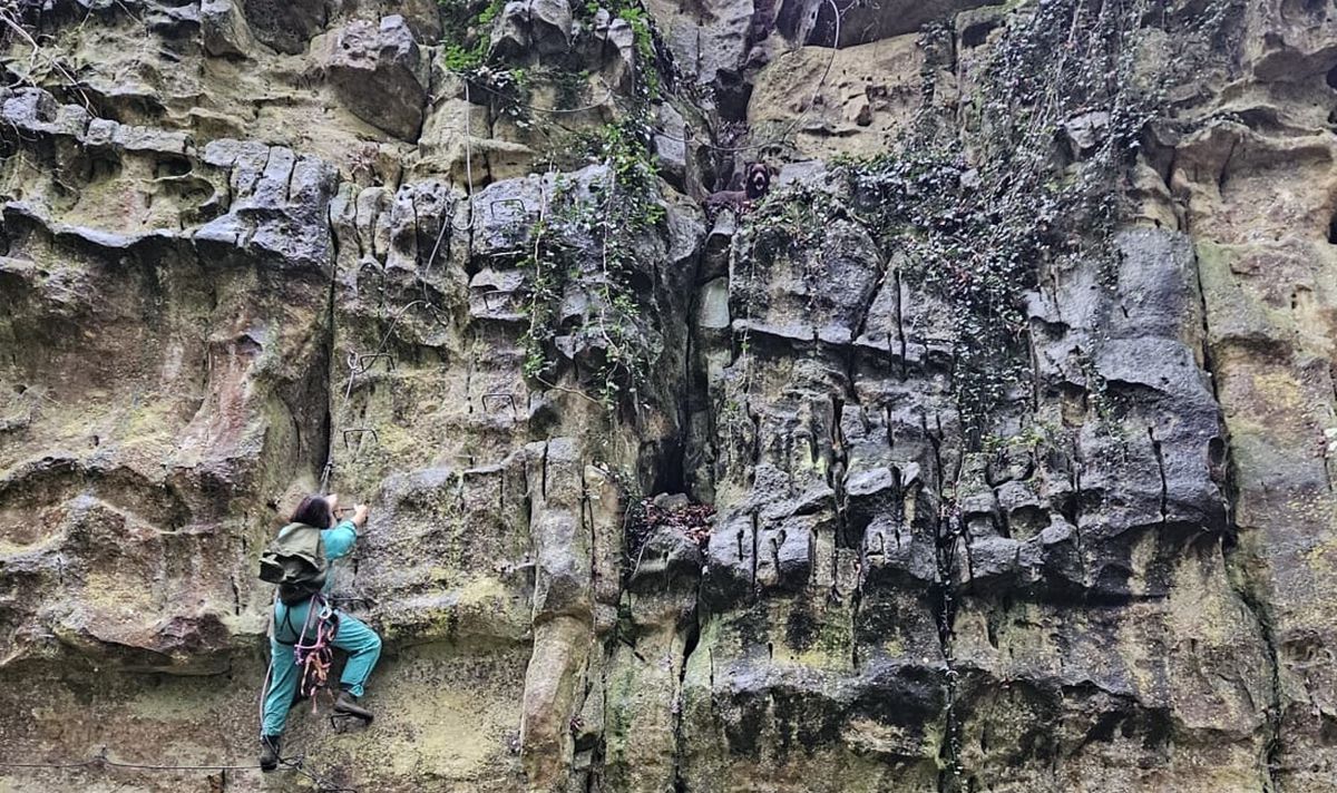 Ils ont sauvé un labrador coincé sur une falaise - L'essentiel
