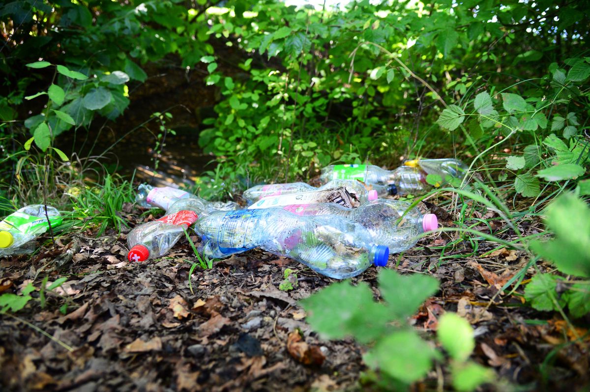 Littering in Winterthur: Trottis im Bach, Velos im Gebüsch, PET ...