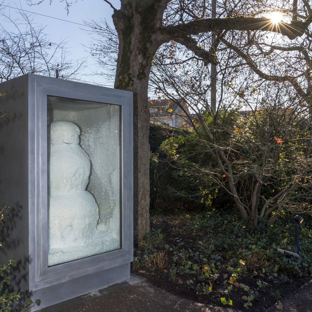 Was ist Schnee? Das weisse Wunder | Berner Zeitung