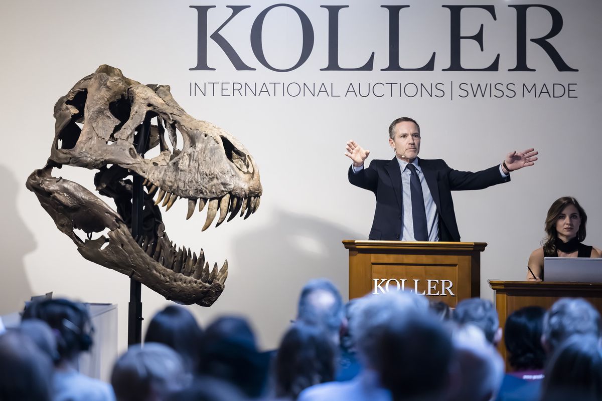 «Trinity» ging für 4,9 Millionen Franken: Der versteigerte T-Rex kommt ...