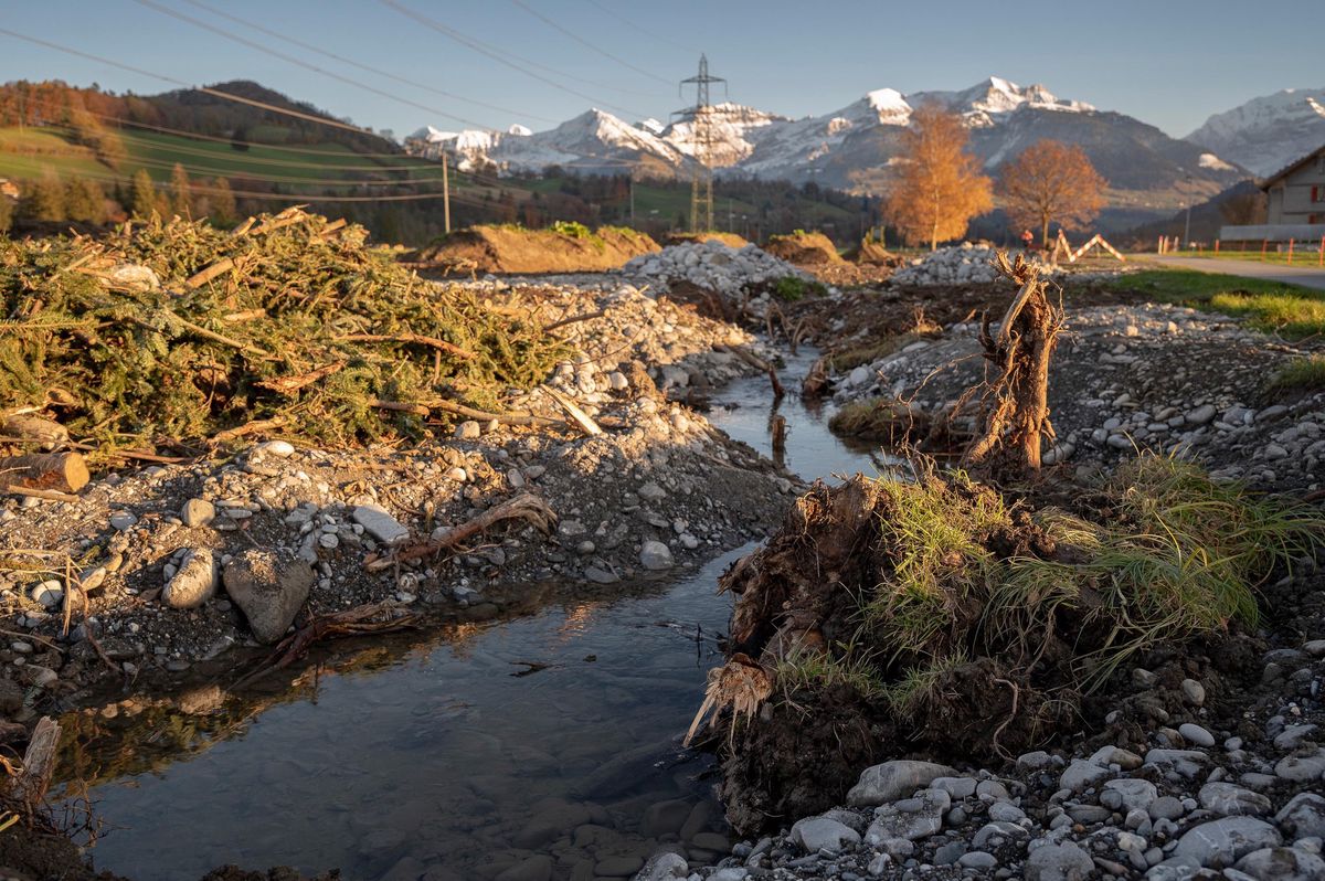 Wimmis: Renaturierung hilft kleinen Tieren