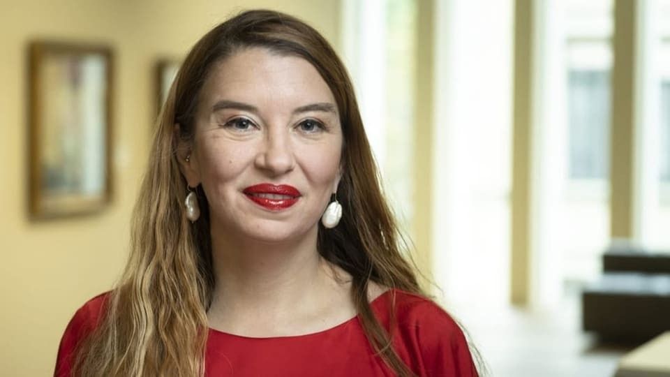 Musée zurichois: Guerre de tranchées autour des Bührle au Kunsthaus | Bilan