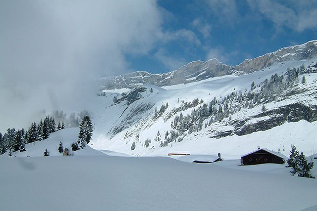 Winterwanderweg auf Engstlenalp erhält grünes Licht | Der Bund