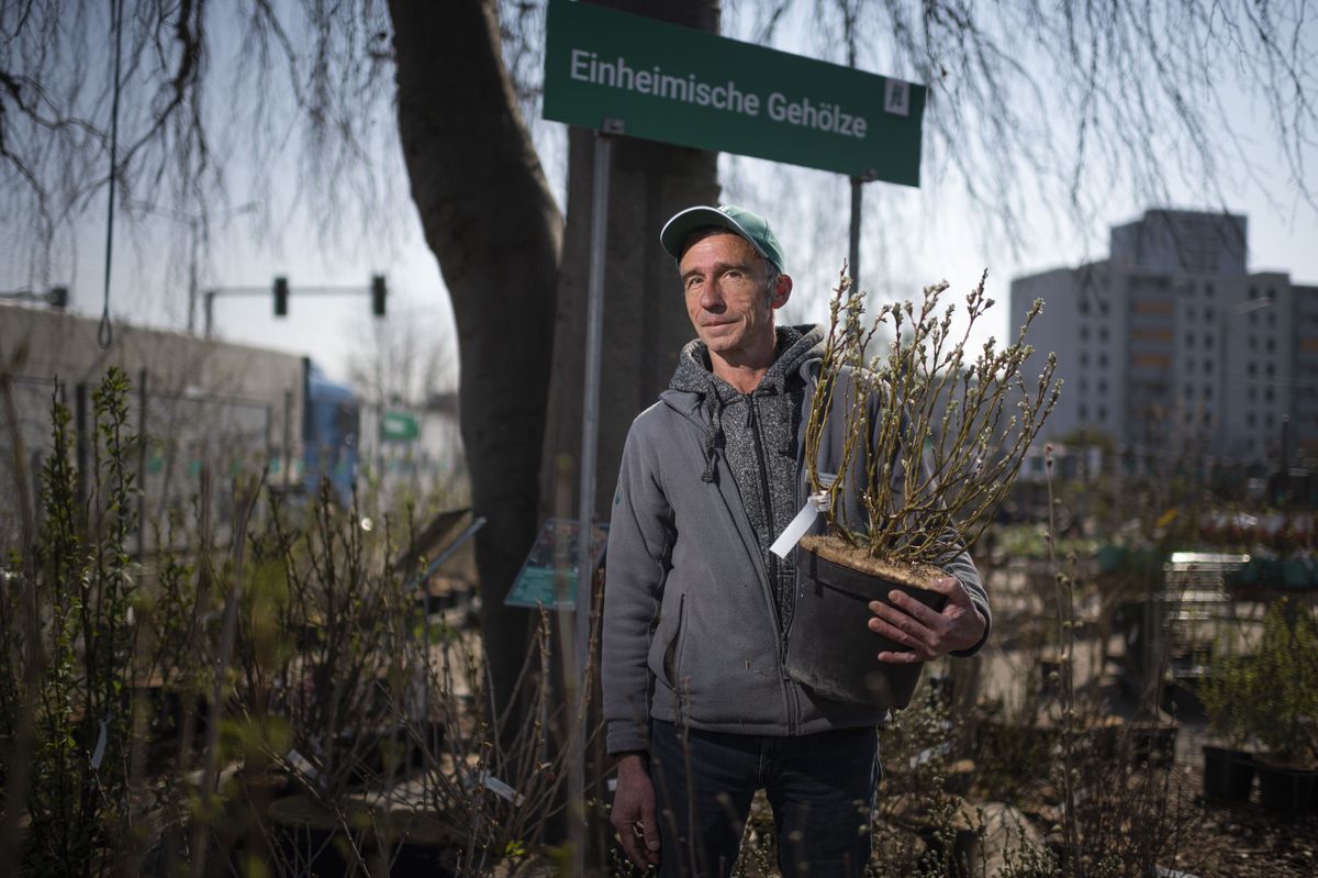 Trends in Zürichs Gärten – «In Zürich kaufen die Leute spezielle Töpfe ...