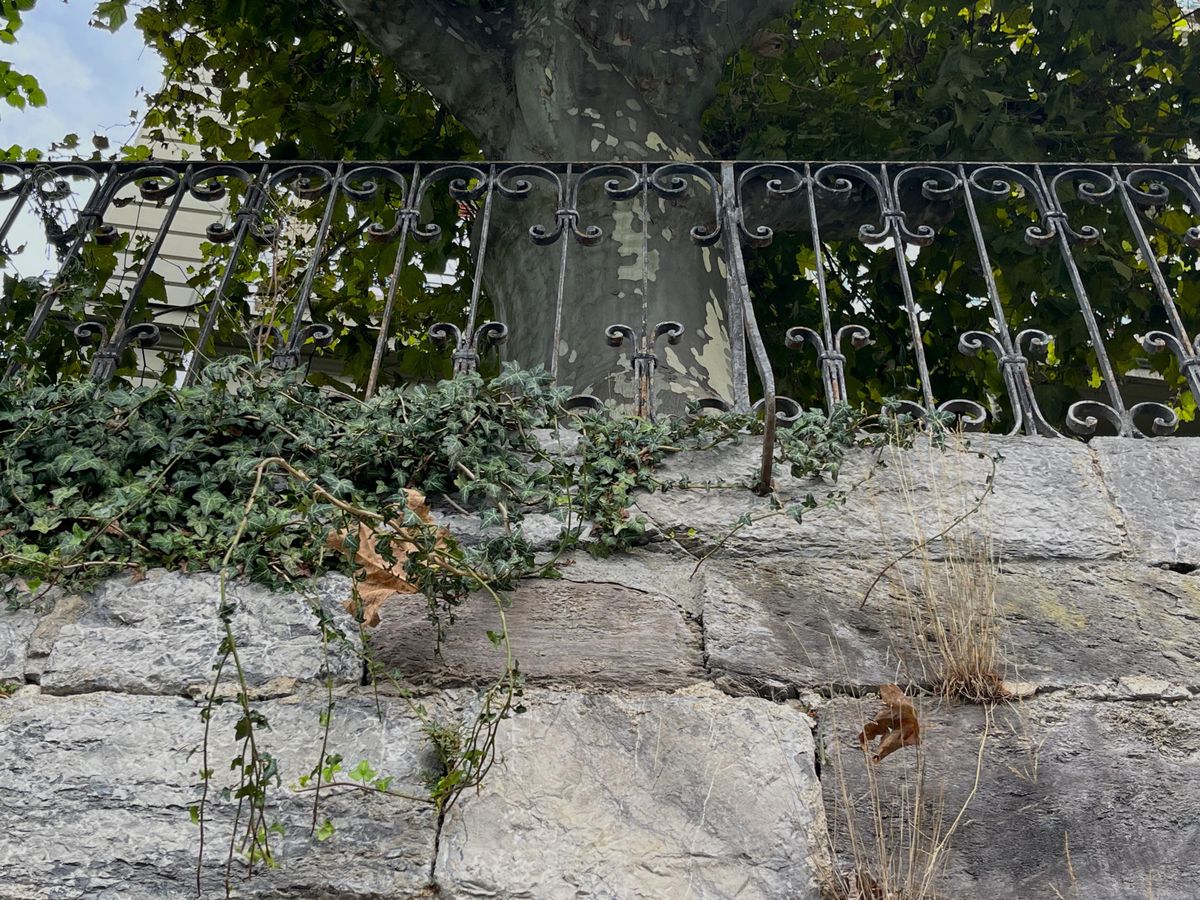 Arbeiten beim Thunerhof: Stadt saniert Mauer und Geländer ...