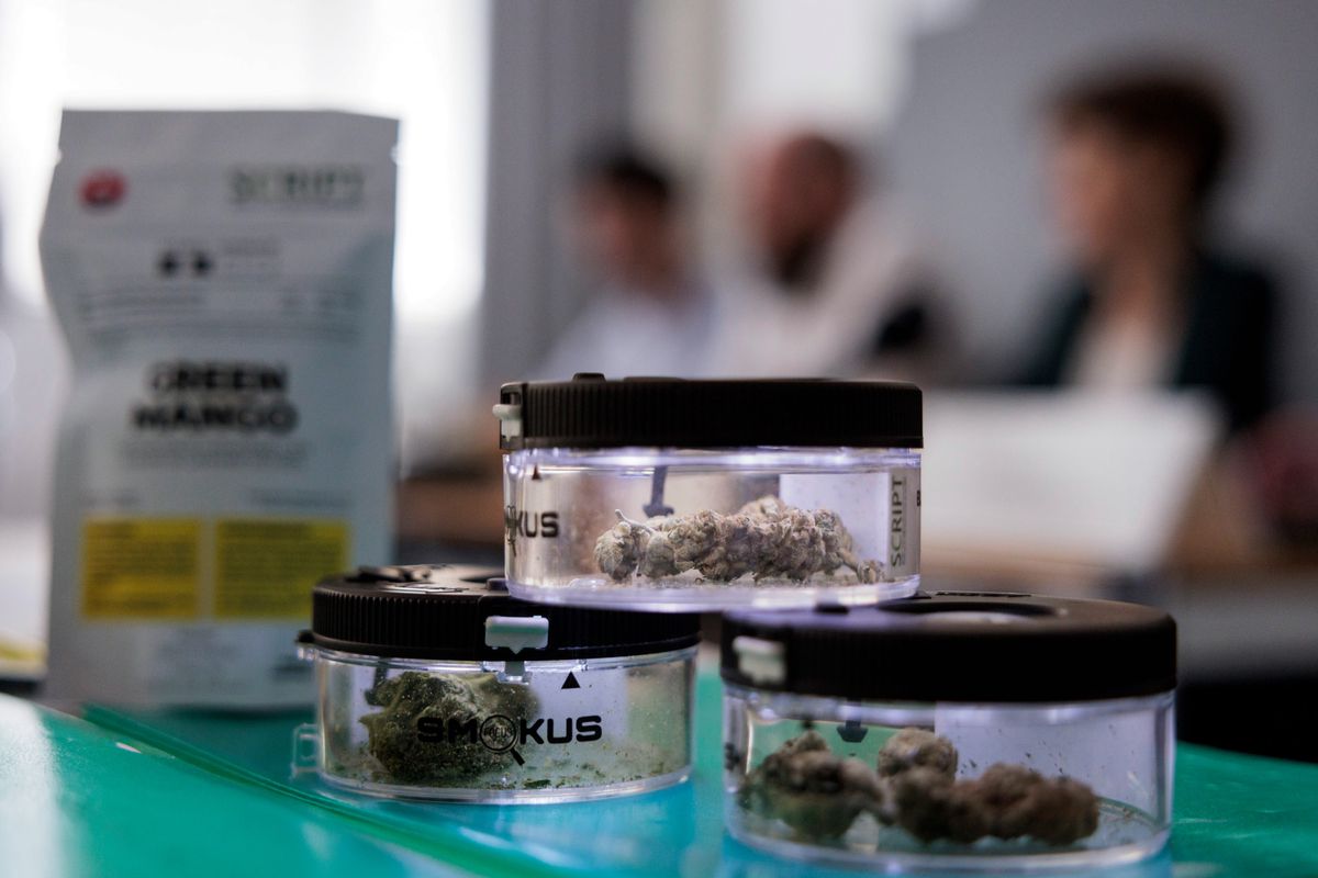 Kiffen in der Stadt Bern: Cannabis legal in der Apotheke | Der Bund