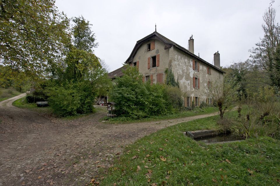 Une fondation pour pérenniser le Bois de Chênes de Genolier | 24 heures