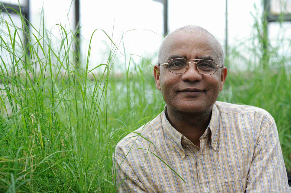 Berner Forscher erhält Maag-Preis | Berner Zeitung