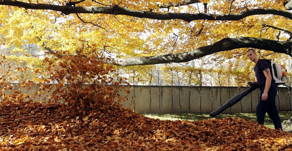 Kolumne von Markus Somm: Die kulturelle Hegemonie der Bünzli | Basler Zeitung