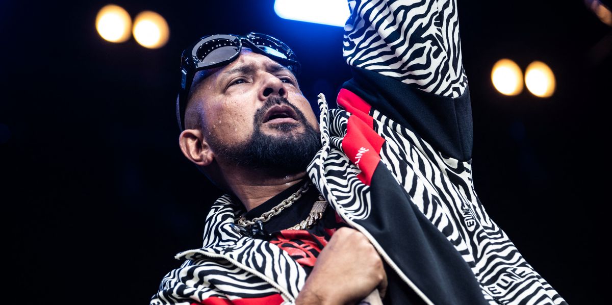 Festival in Nyon: Paléo mit Sean Paul, Patti Smith und Burna Boy | Der Bund