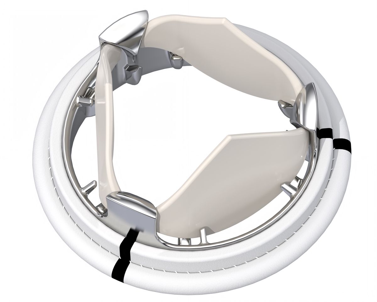 Novostia, une pièce de haute horlogerie cardiaque | 24 heures