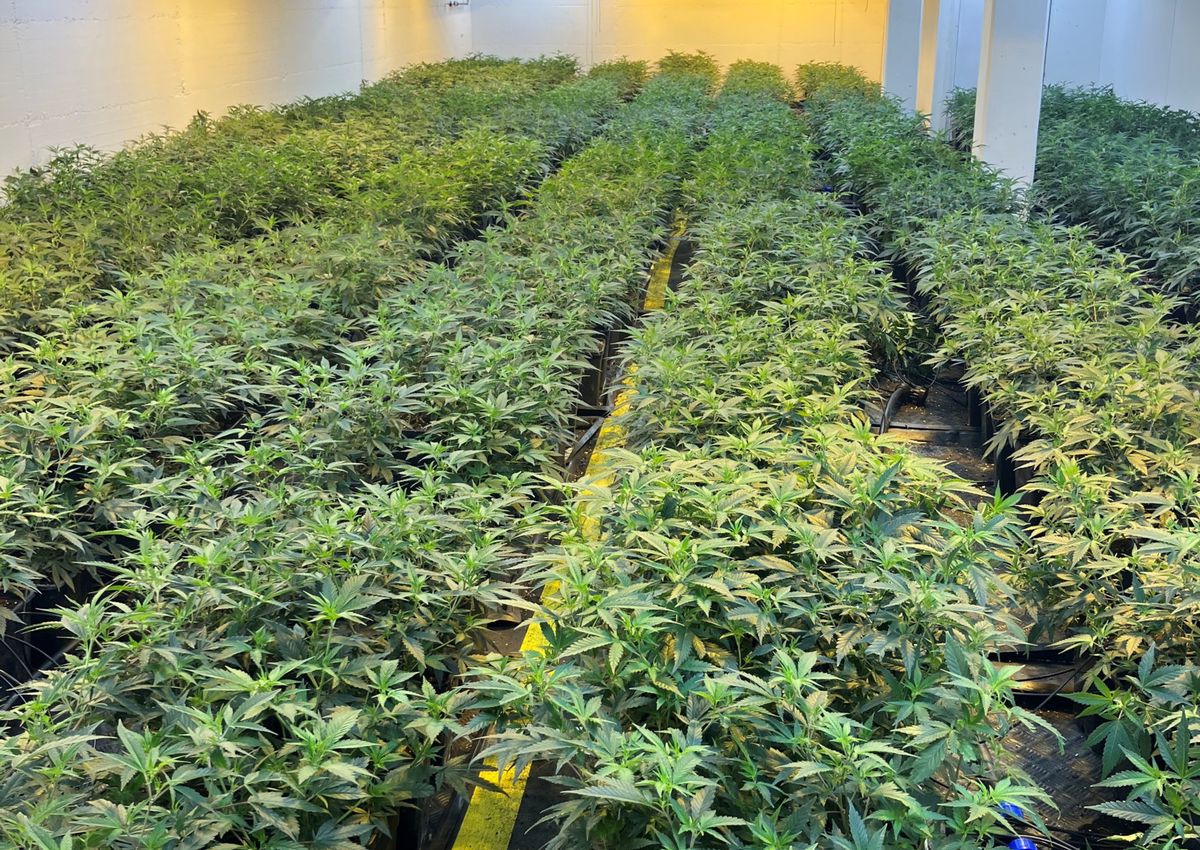 Saisie record à Lonay: 600 kilos de drogue dans l'ex-fabrique de biscuits | 24 heures