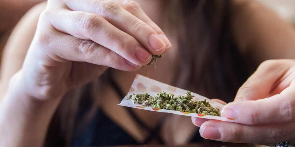 Kommentar zur Berner Cannabis-Studie | Der Bund