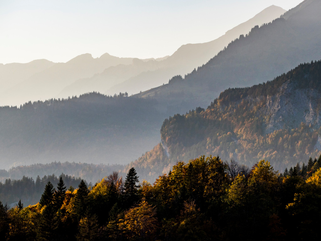 Kanton Bern: Neuer Waldplan für die Alpen ist fertig