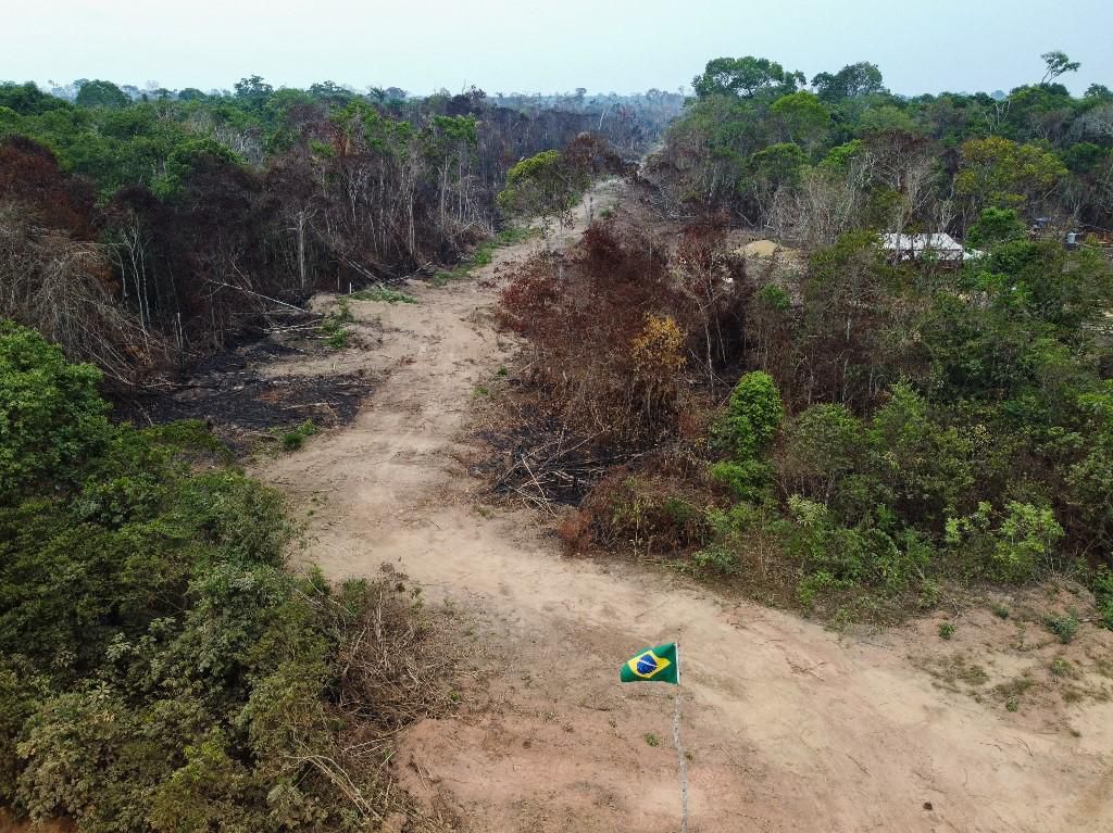 Au Brésil: Déforestation record en Amazonie - L'essentiel
