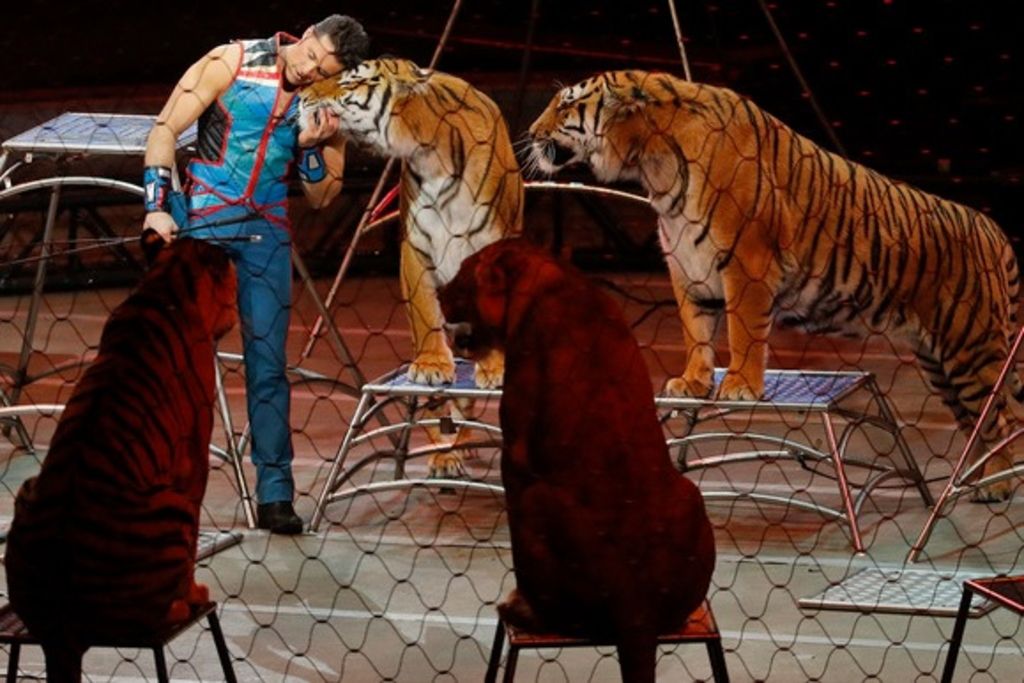 Etats-Unis – Dernier tour de piste pour le cirque Barnum | 24 heures